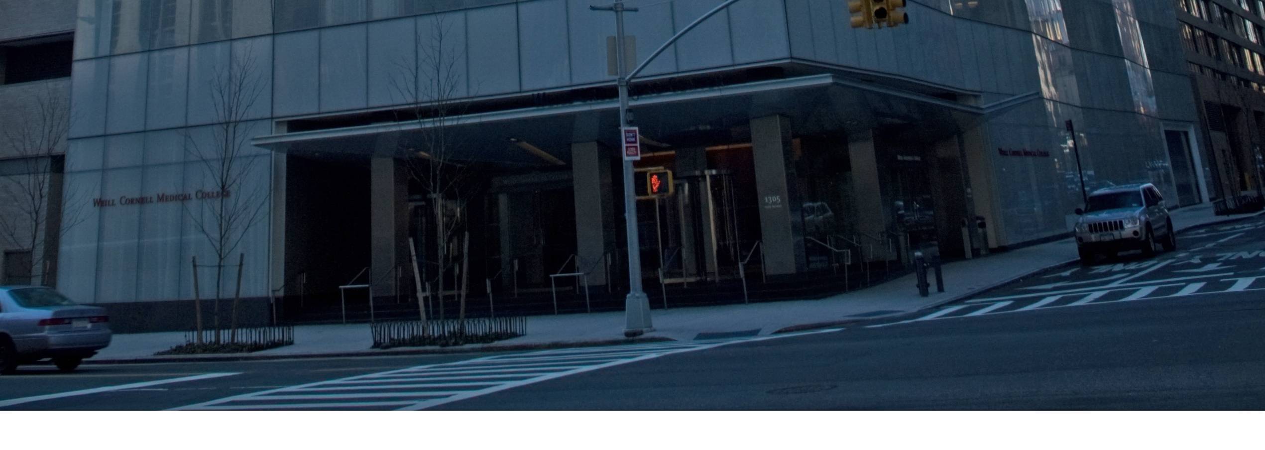 Weil Cornell Medical Center - Storefront Entrances and Soffit Canopy ...